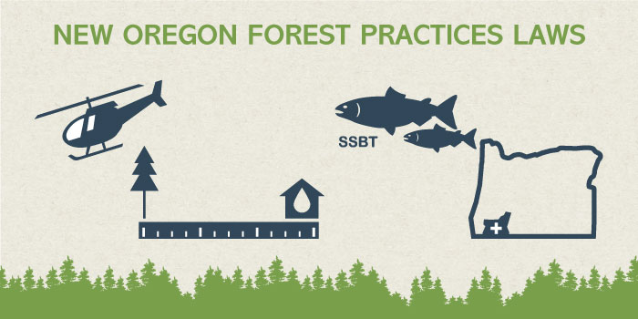 New year, new Oregon forest protection laws | OregonForests